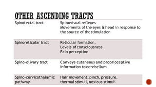 Spinal_cord_Tracts.pptx