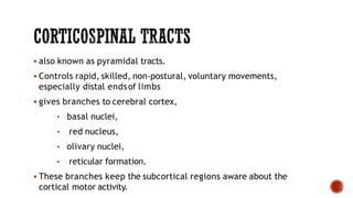 Spinal_cord_Tracts.pptx