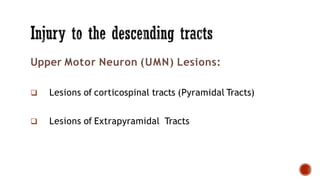 Spinal_cord_Tracts.pptx