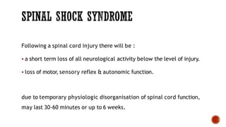 Spinal_cord_Tracts.pptx