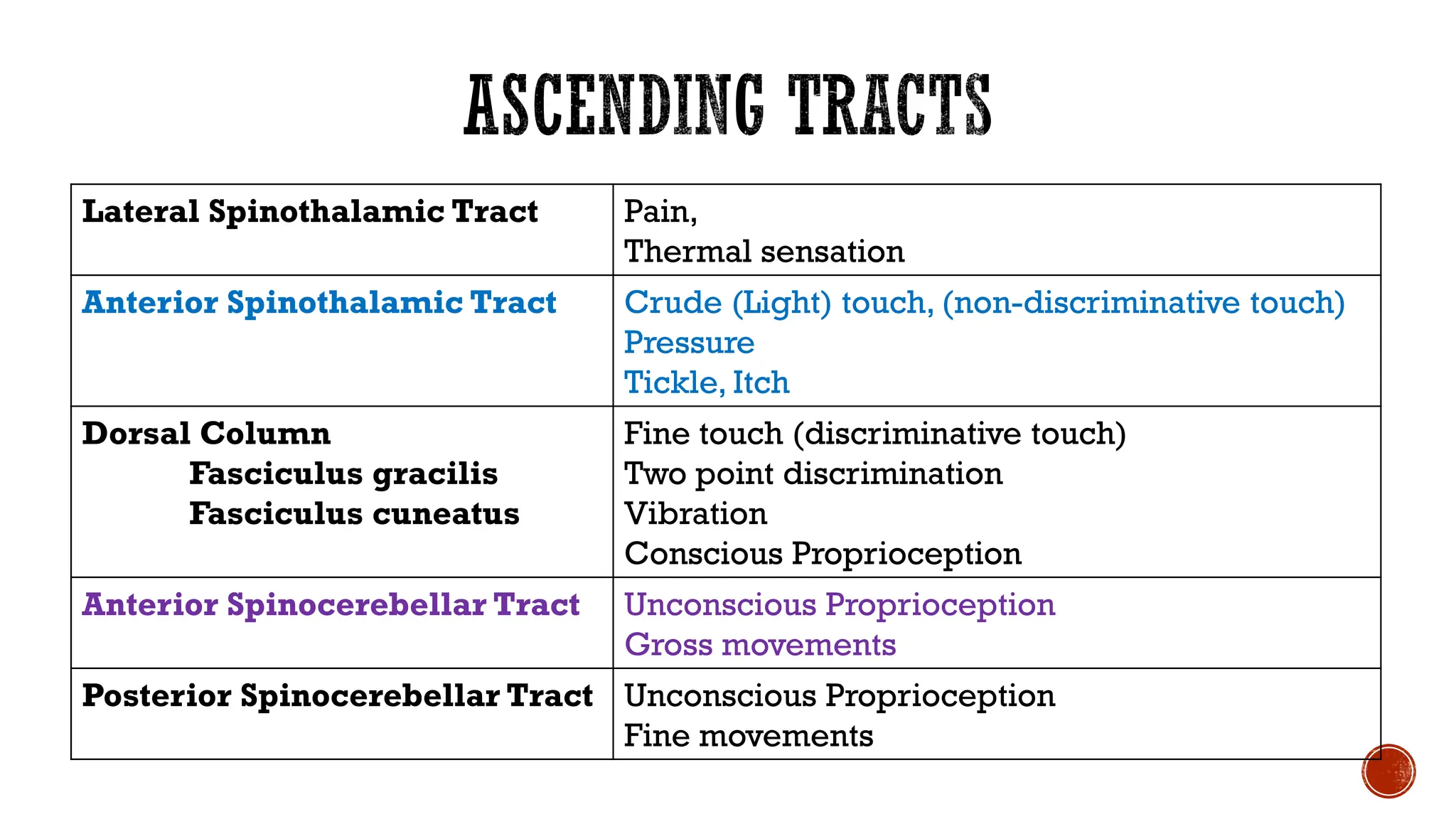 SPINAL CORD TRACTS for students and health care workers | PDF