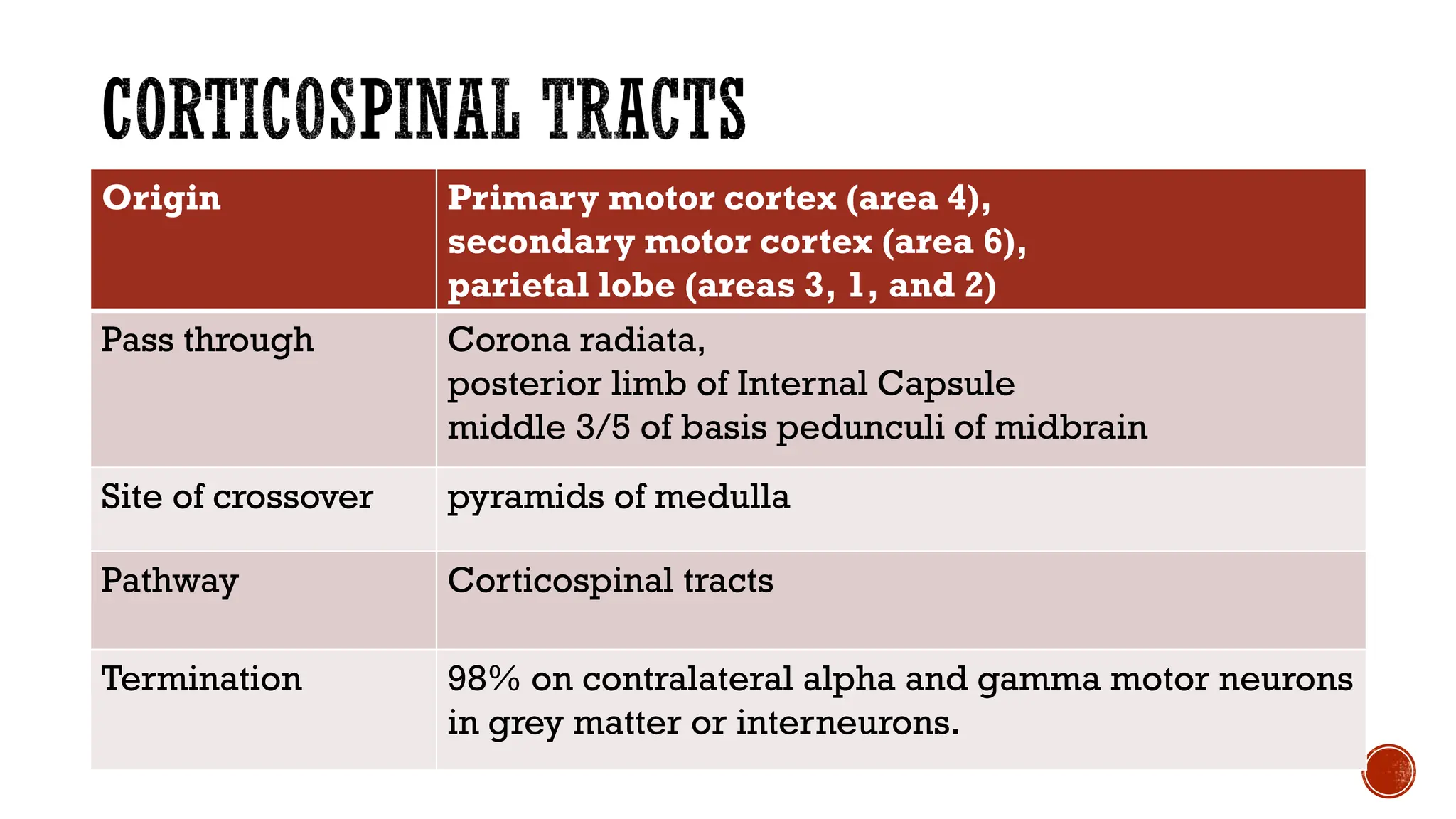 SPINAL CORD TRACTS for students and health care workers | PDF