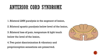 SPINAL CORD TRACTS for students and health care workers | PDF