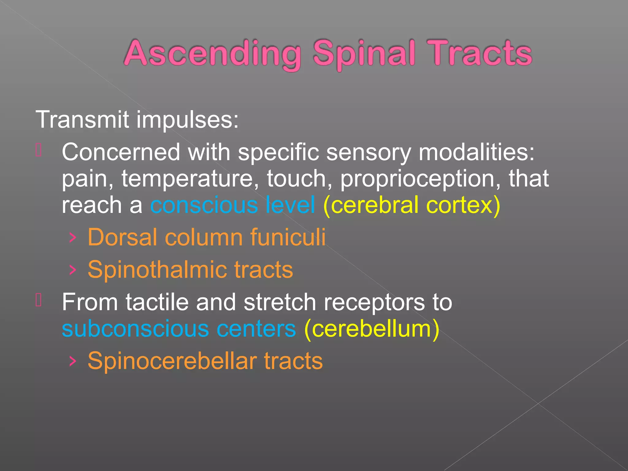 Spinal cord tracts | PPT