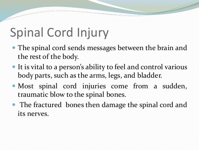 Spinal cord treatment | PPT | Free download