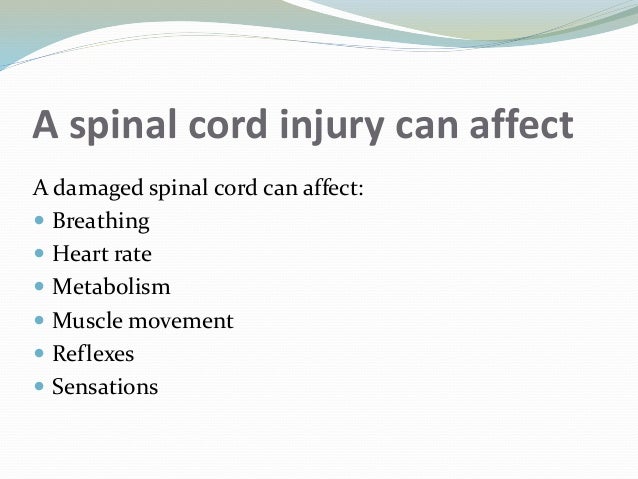 Spinal cord treatment | PPT | Free download