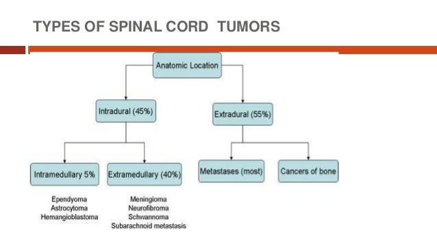 Spinal cord tumors