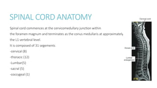 SPINAL CORD TUMORS MRI AND CT FEATURES.pptx