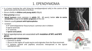 SPINAL CORD TUMOUR.pptx