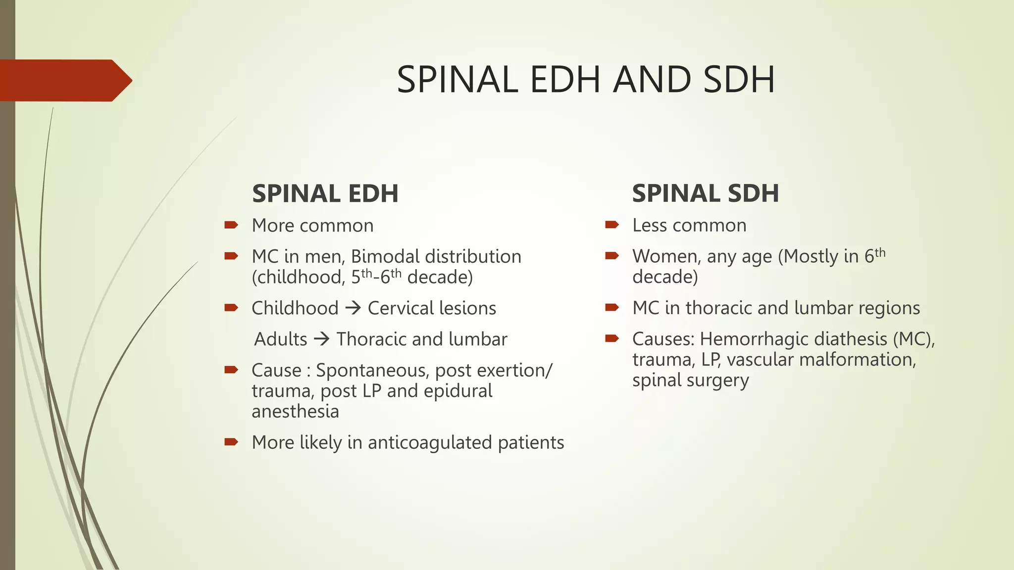 SPINAL CORD VASCULAR SYNDROME (1).pptx