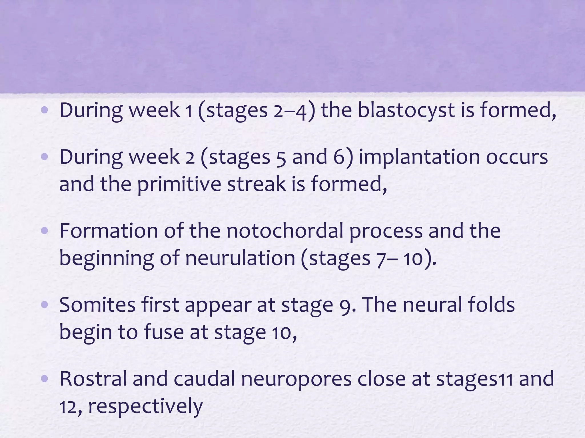 Spinal dysraphism | PPTX