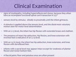 Spinal dysraphism | PPTX