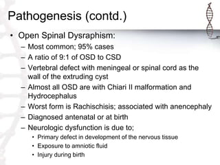 Spinal dysraphism and its management | PPTX