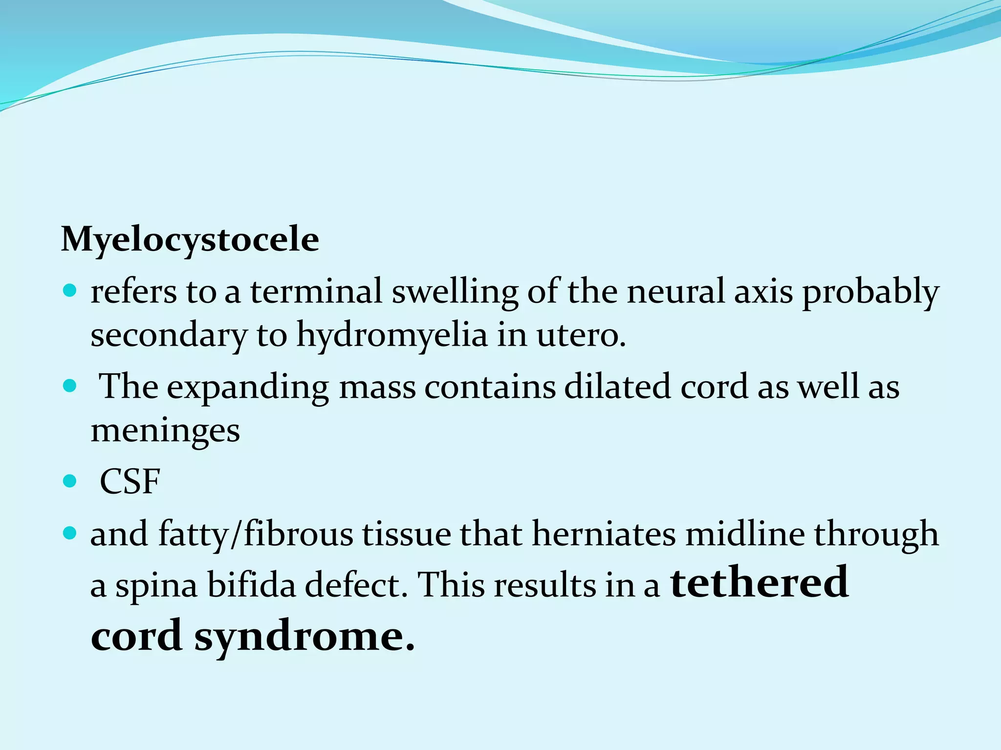 Spinal dysraphism | PPTX