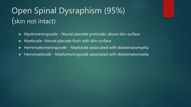 Spinal dysraphism | PPTX