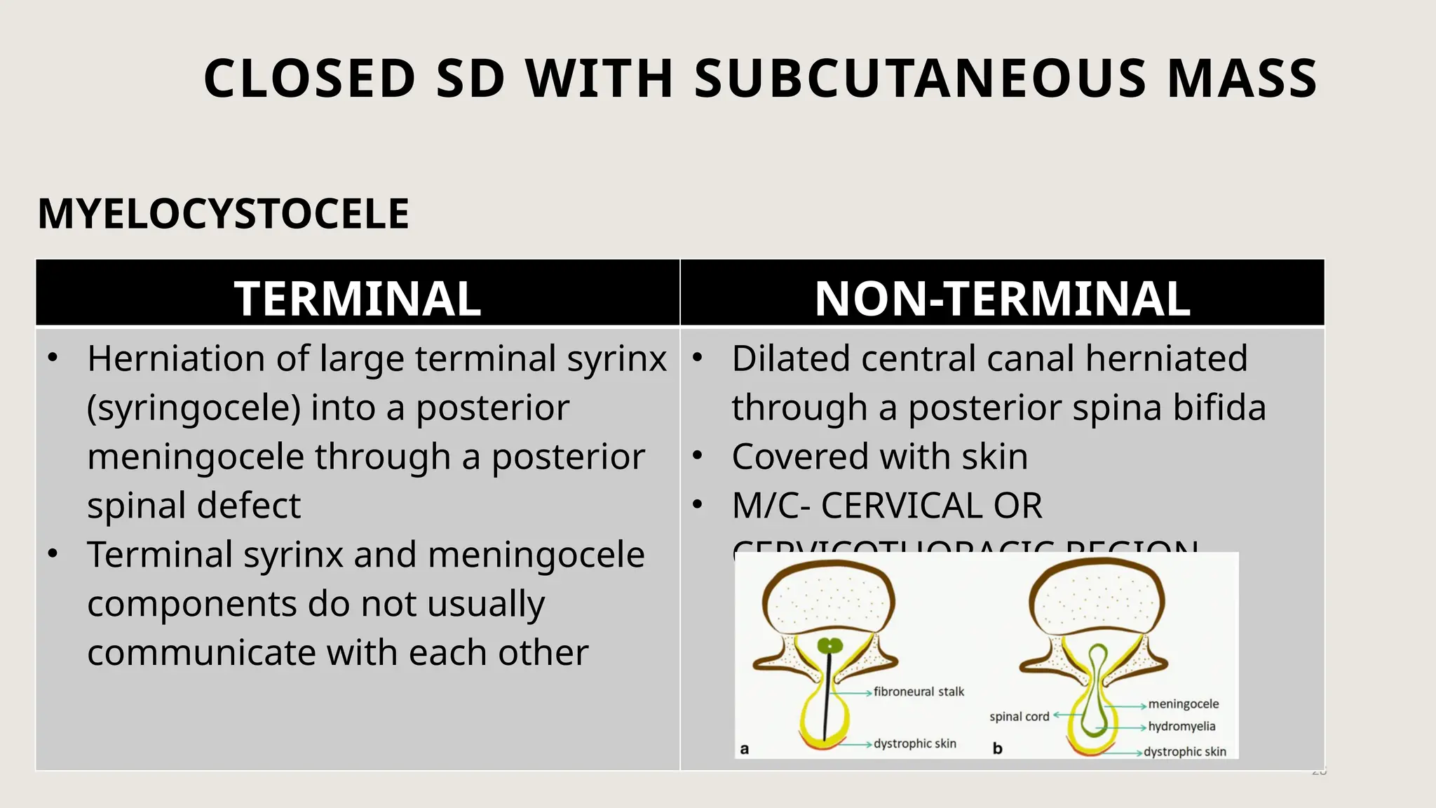 RADIOLOGICAL IMAGING IN CASES OF SPINAL DYSRAPHISM | PPTX