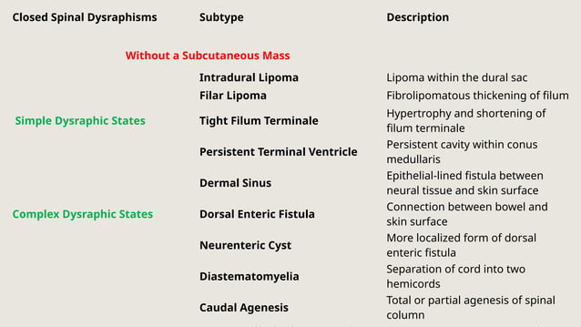 RADIOLOGICAL IMAGING IN CASES OF SPINAL DYSRAPHISM | PPT
