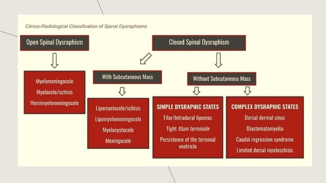 RADIOLOGICAL IMAGING IN CASES OF SPINAL DYSRAPHISM | PPT