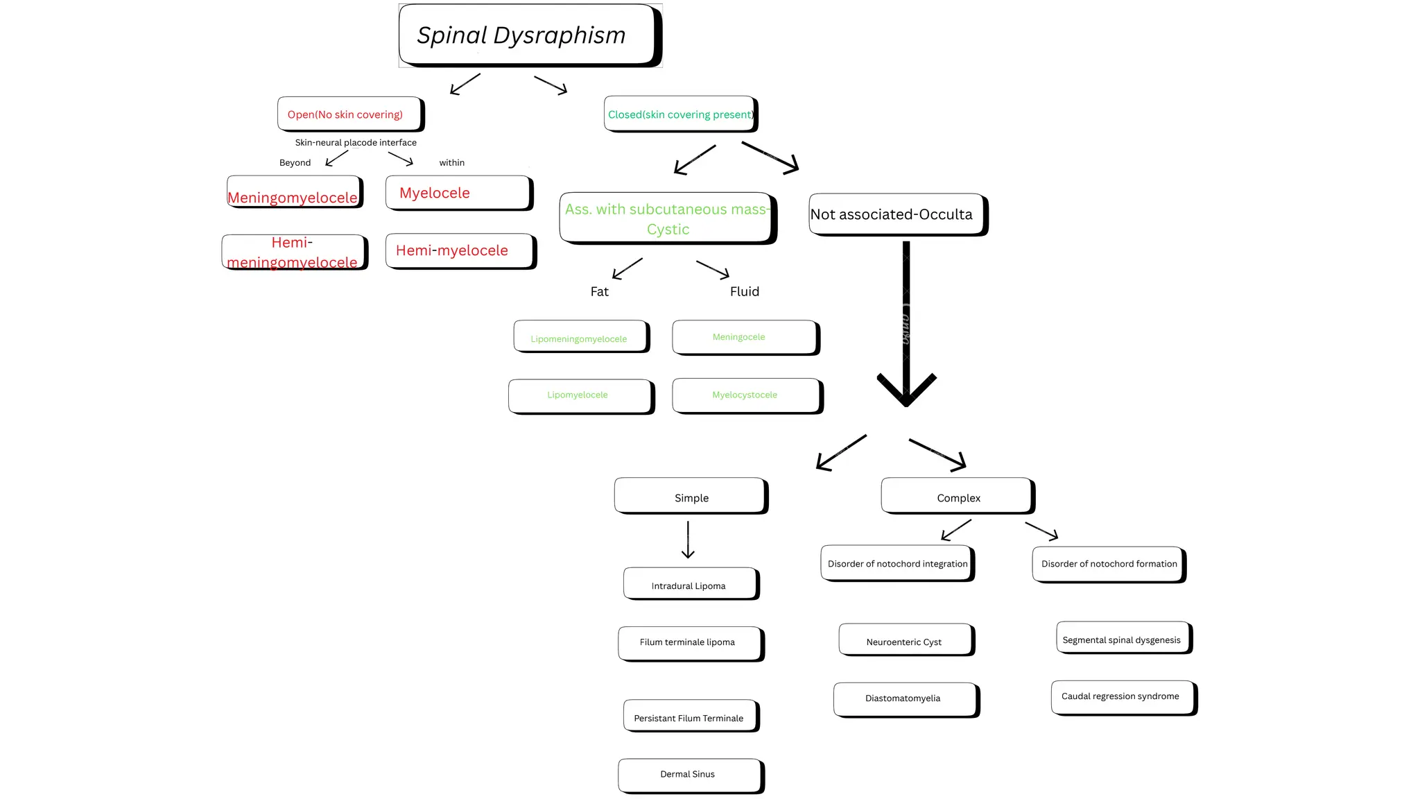 Spinal Dysraphism approach and classification | PDF