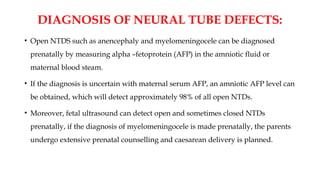 SPINAL DYSRAPHISM /Meningococcal ppt Anand-1.pptx