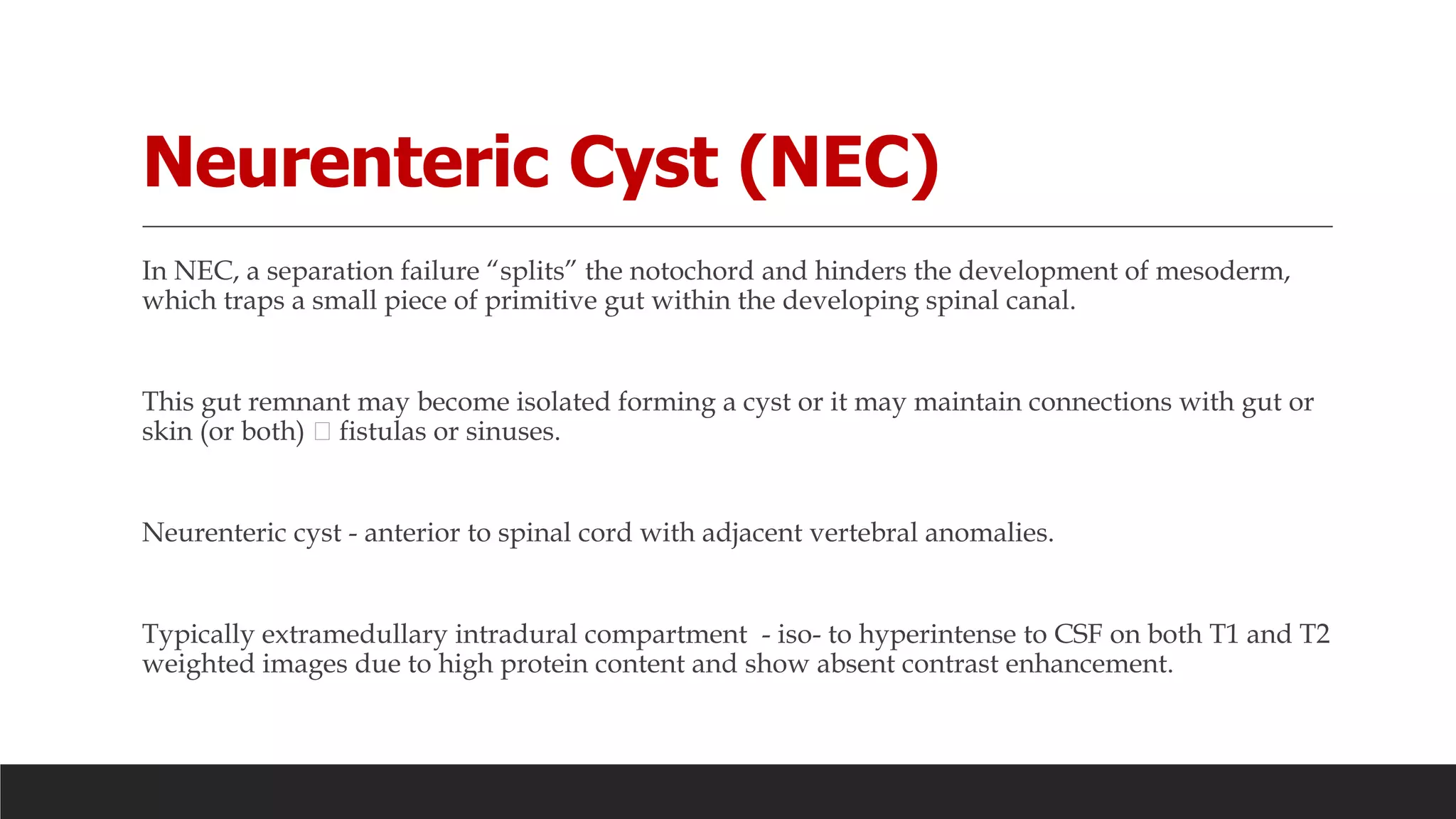 SPINAL dysraphism VP,,.pptx