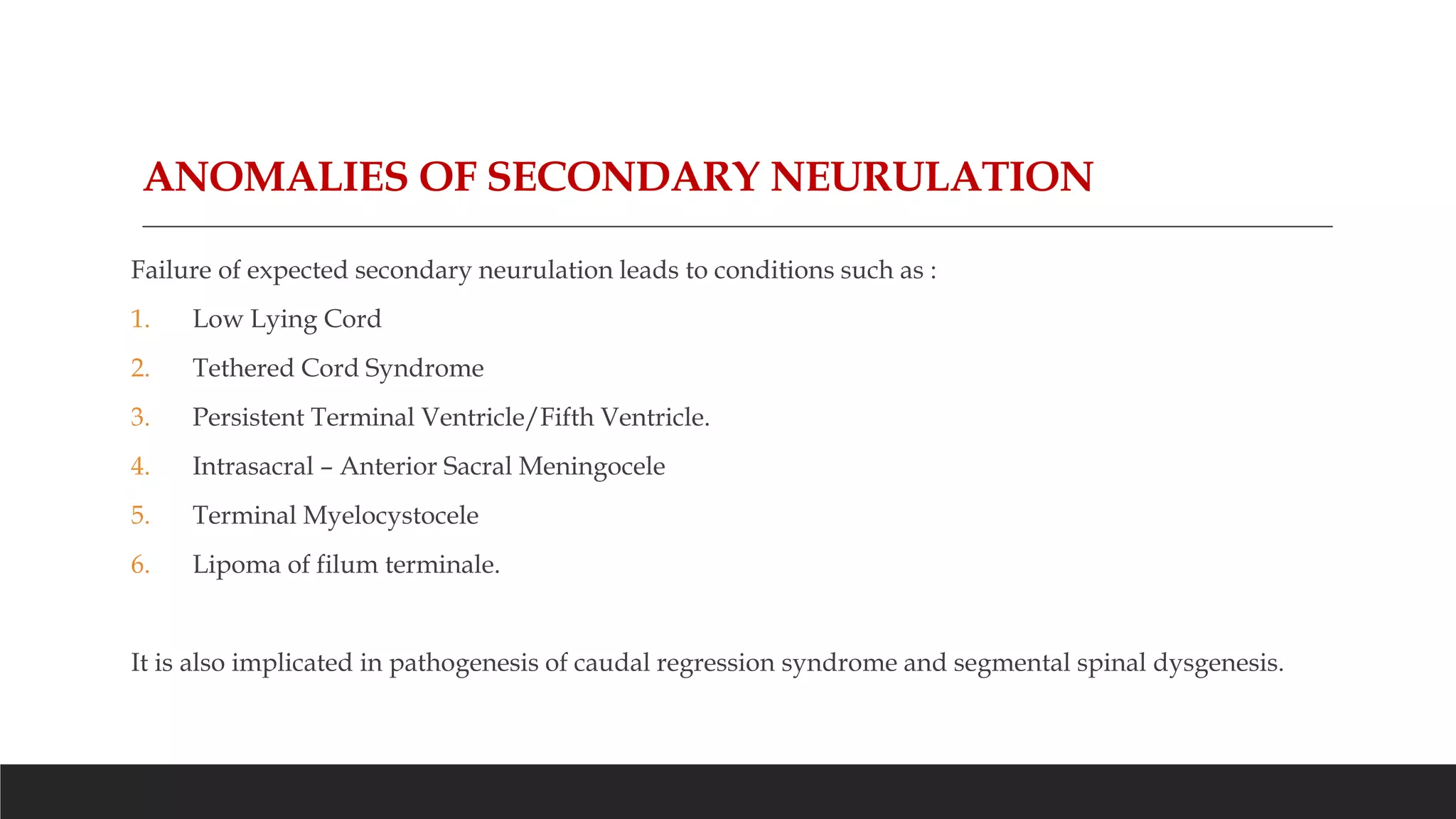 SPINAL dysraphism VP,,.pptx