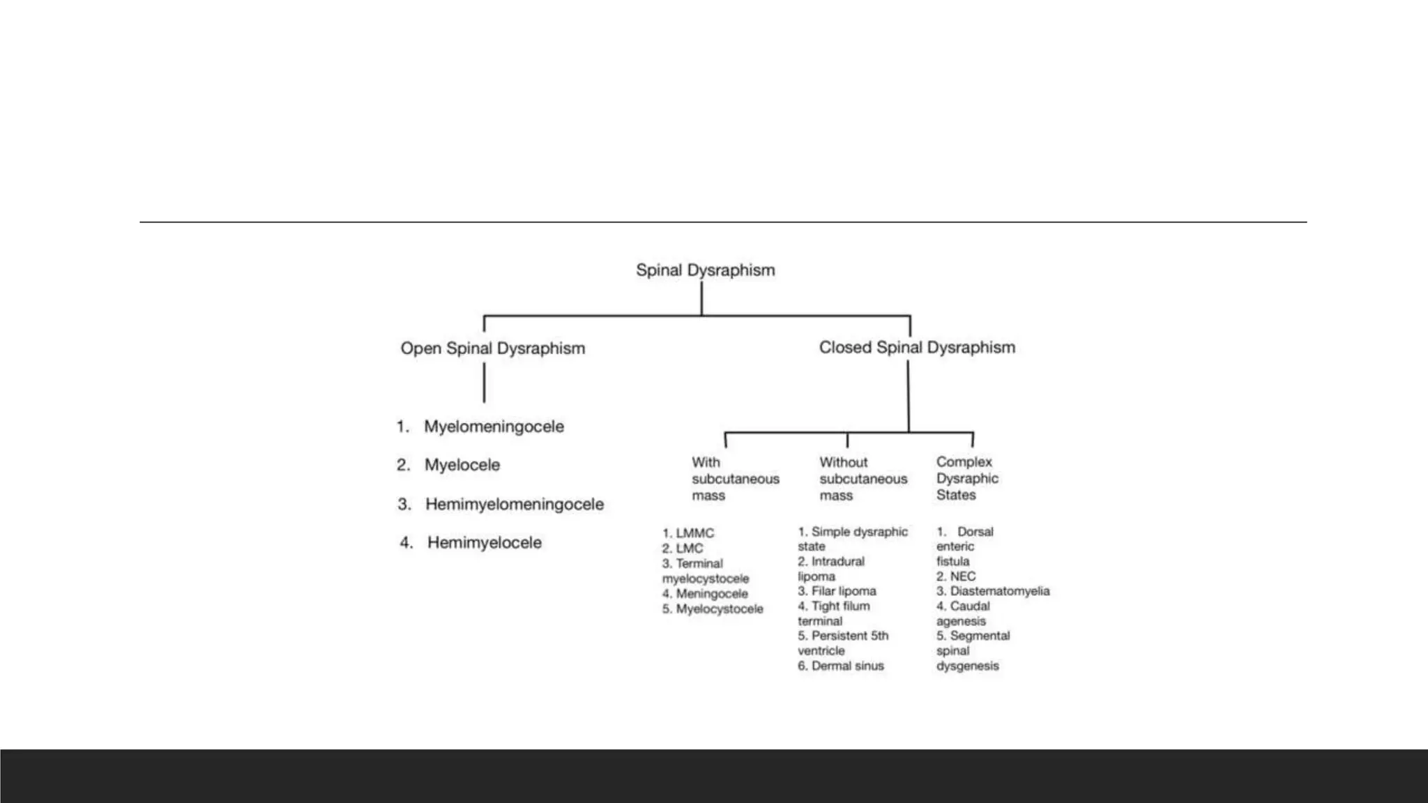 Spinal Dysraphism Vp Pptx