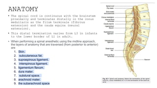 SPINAL ED anesthesiology and Epidural.pptx
