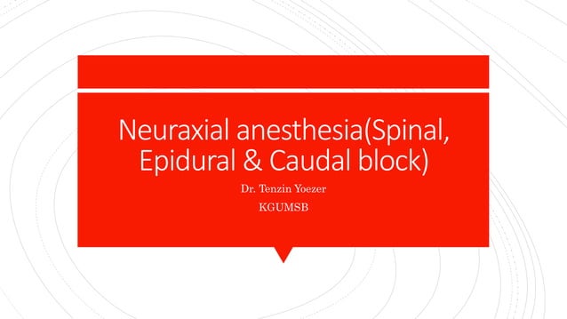 Neuraxial anaesthesia (Spinal, epdiural and caudal anesthesia) | PPTX ...