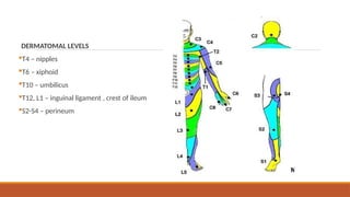 SPINAL EPIDURALjshshdjdkdhdbdkdjhdsnd1.pptx
