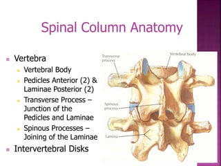 Spinalepiduralanesthesia 140301085537-phpapp01 | PPTX