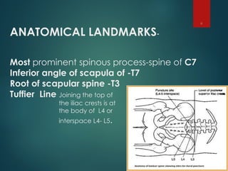 combined Spinal Epidural anaesthesia ppt | PPT