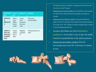 Spinal epidural | PPTX | Death, Injury, or Military Conflict ...