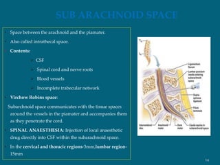 Spinal epidural | PPTX