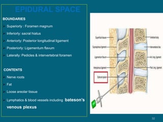 Spinal epidural | PPTX