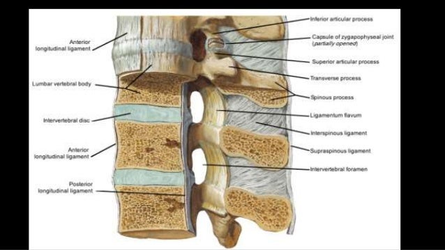 Spinal fractures classification - Core Surgical Trainees' teaching