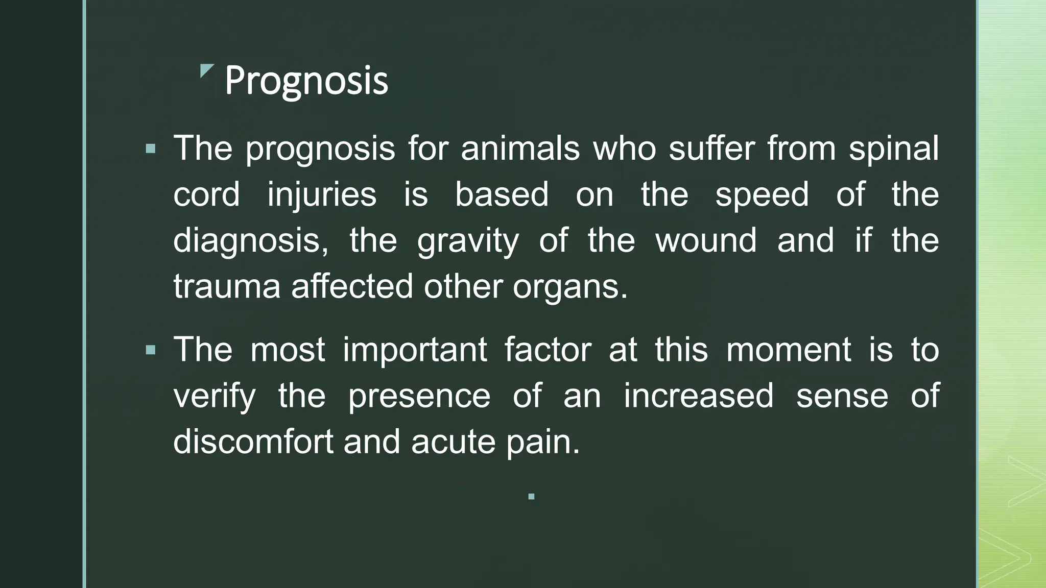 Spinal fracture small dog and cat practice.pptx