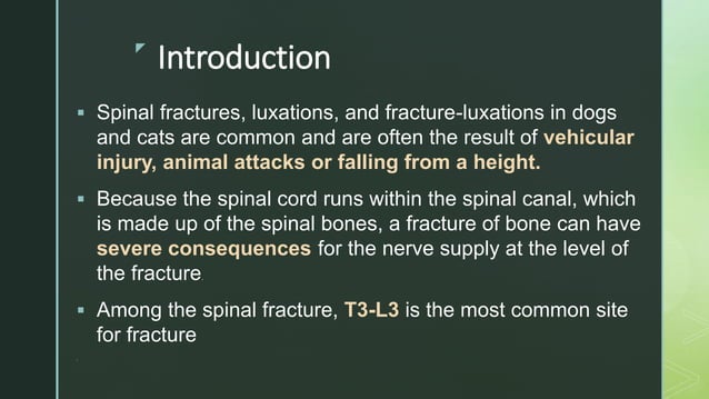 Spinal fracture small dog and cat practice.pptx