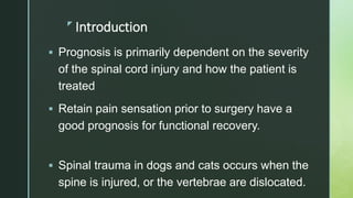 Spinal fracture small dog and cat practice.pptx