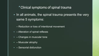 Spinal fracture small dog and cat practice.pptx