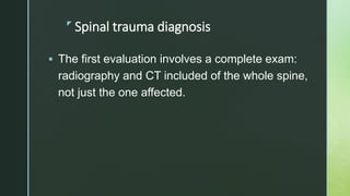 Spinal fracture small dog and cat practice.pptx