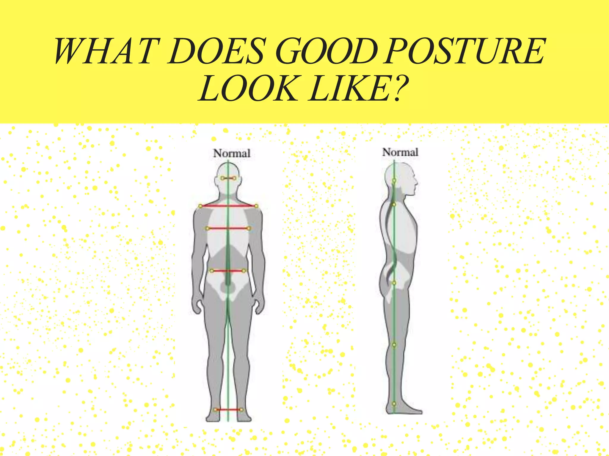 Spinal Health: A Presentation About Spinal Hygiene and How to Take Care ...