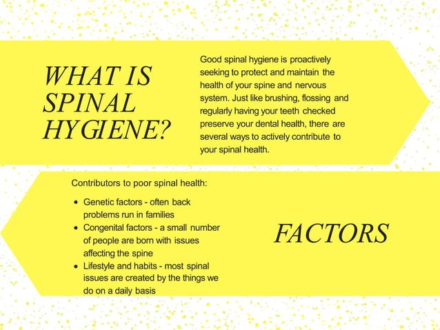 Spinal Health: A Presentation About Spinal Hygiene and How to Take Care ...