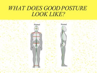 Spinal Health: A Presentation About Spinal Hygiene and How to Take Care ...