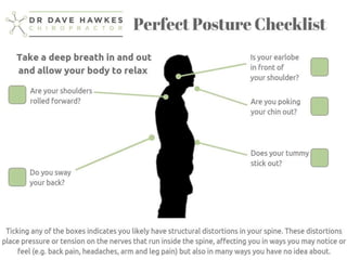 Spinal Health: A Presentation About Spinal Hygiene and How to Take Care ...