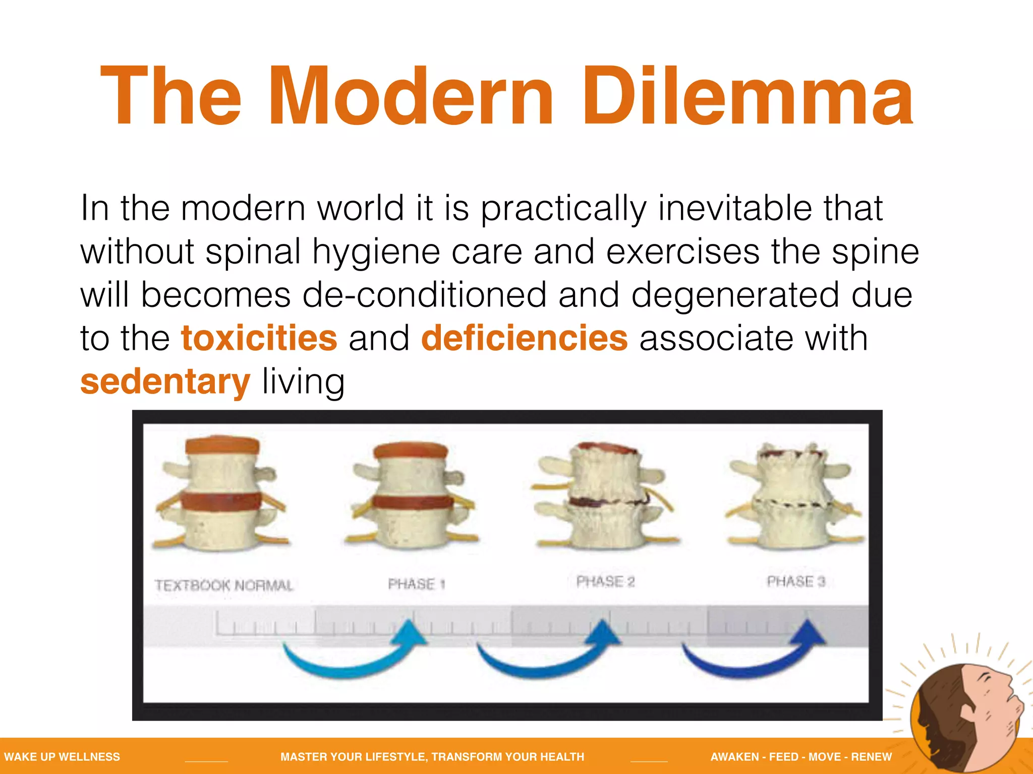 Spinal Hygiene Exercises | PDF
