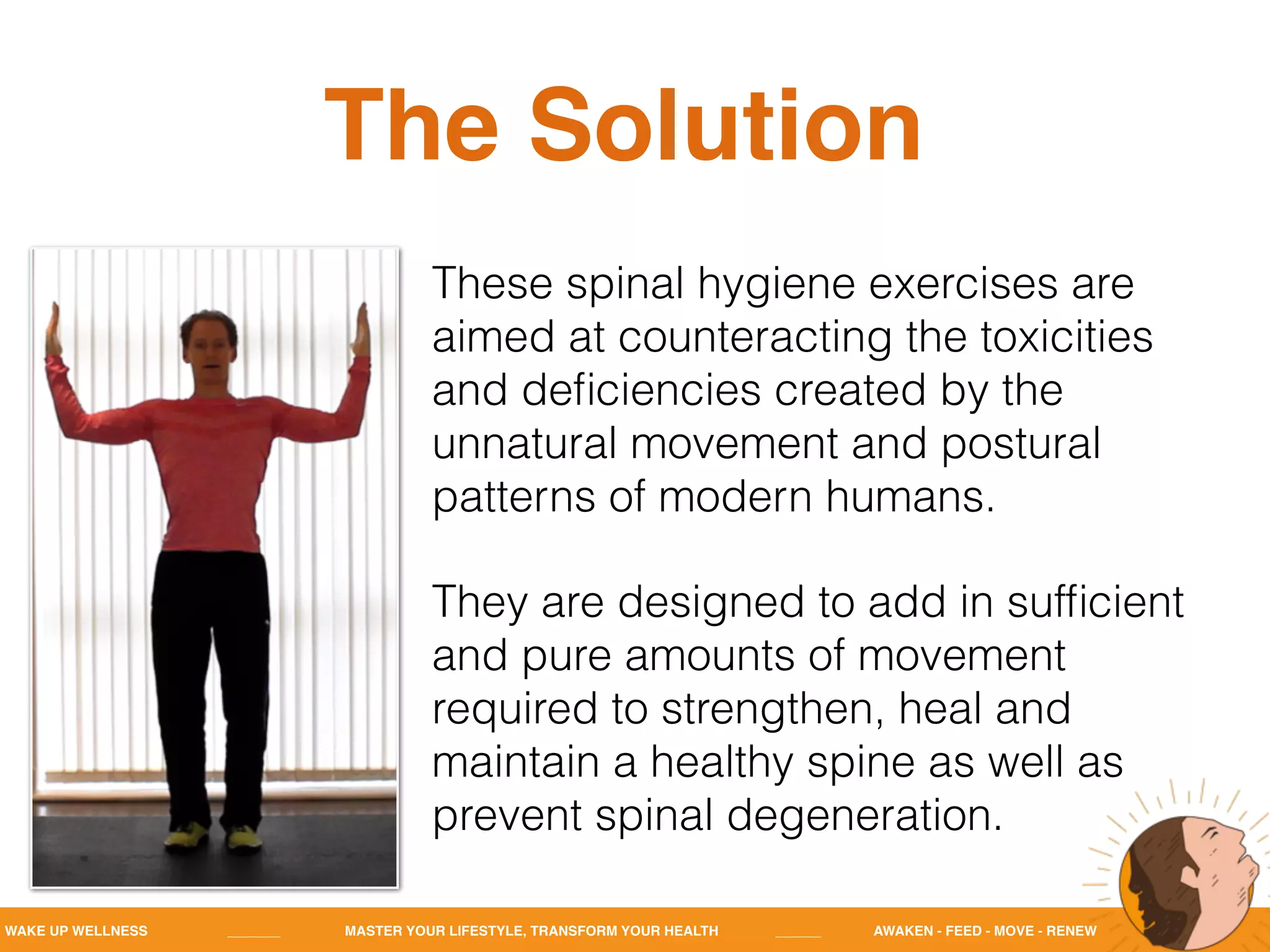 Spinal Hygiene Exercises | PDF