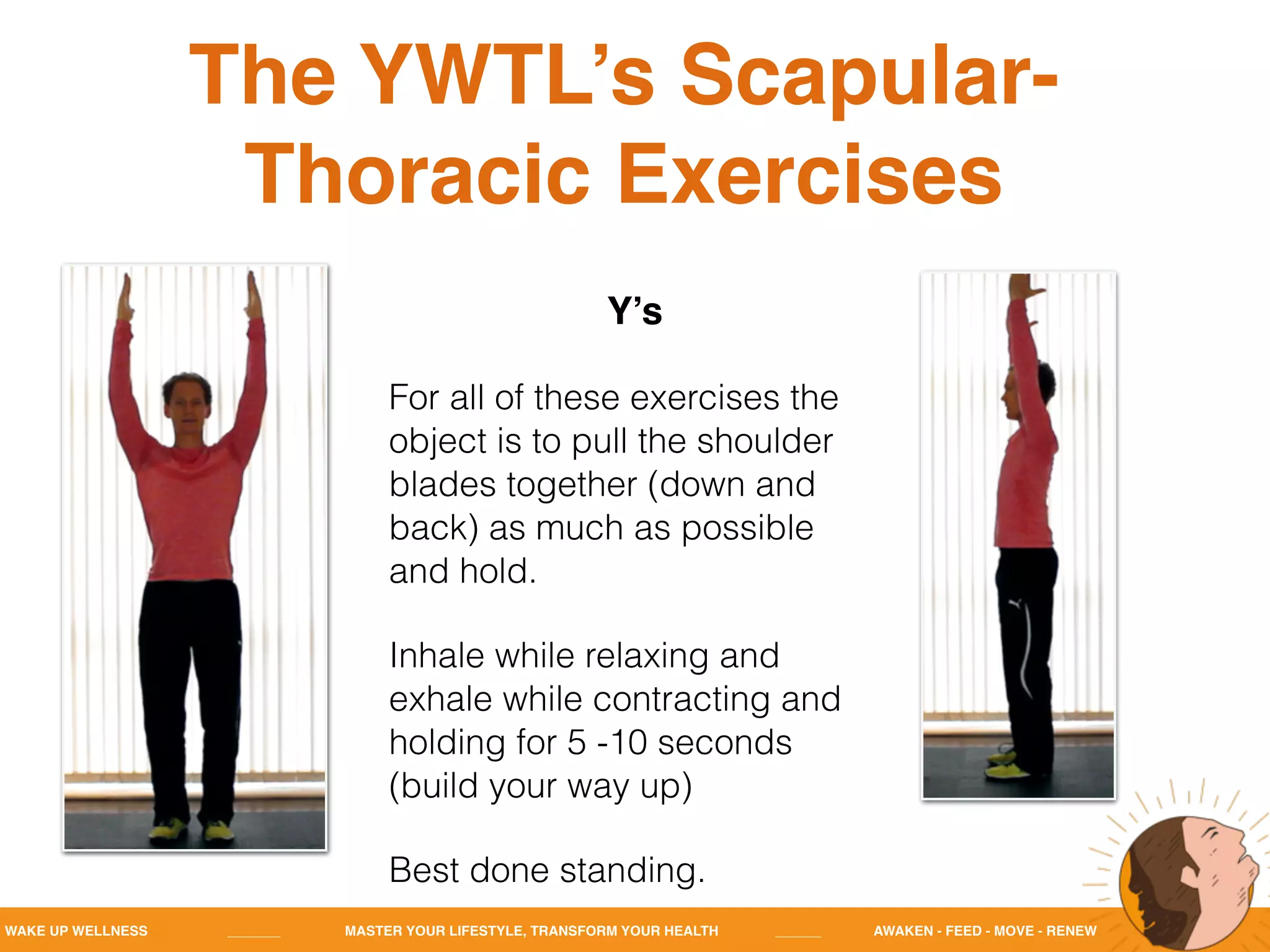 Spinal Hygiene Exercises | PDF