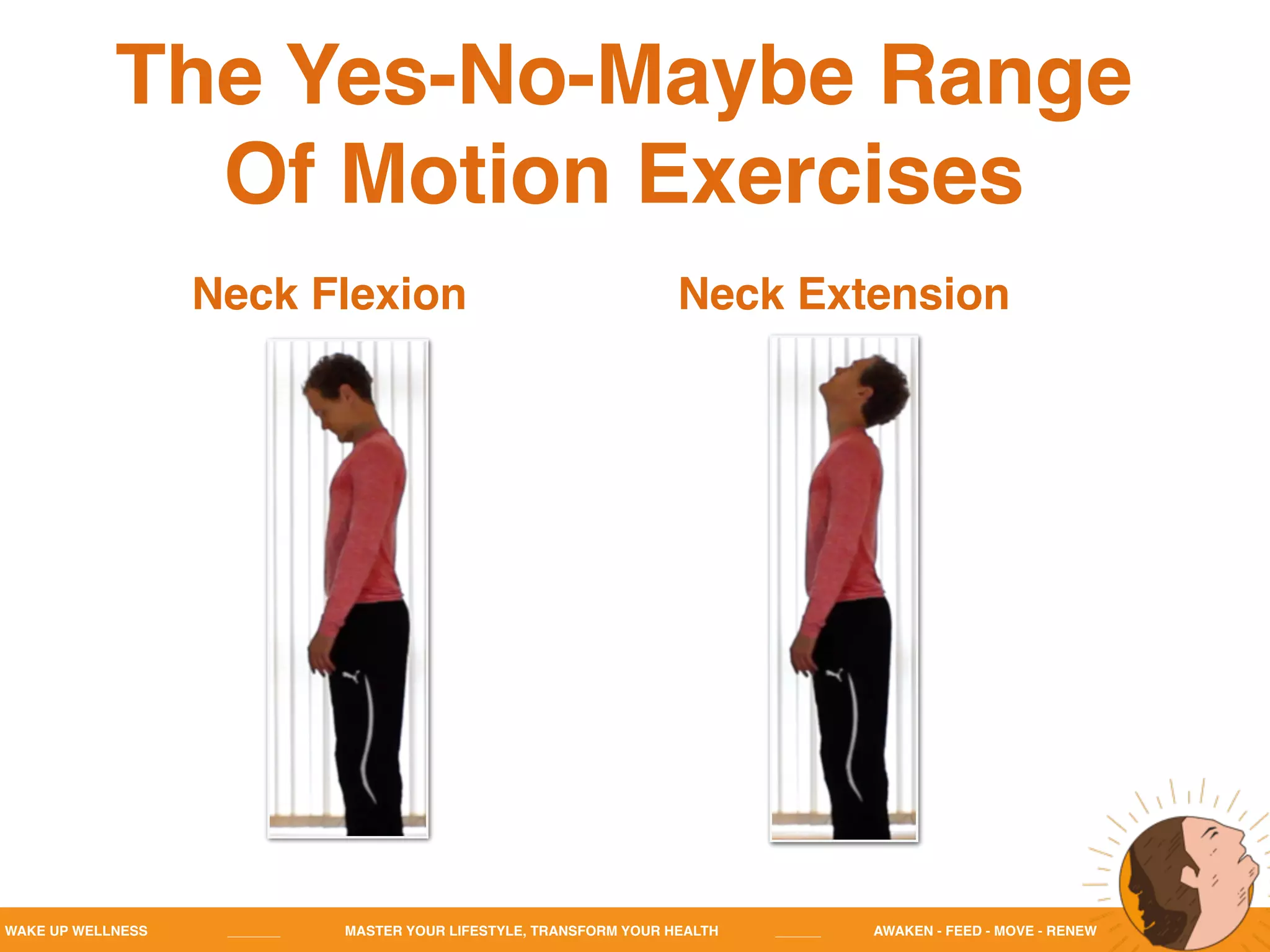 Spinal Hygiene Exercises | PDF