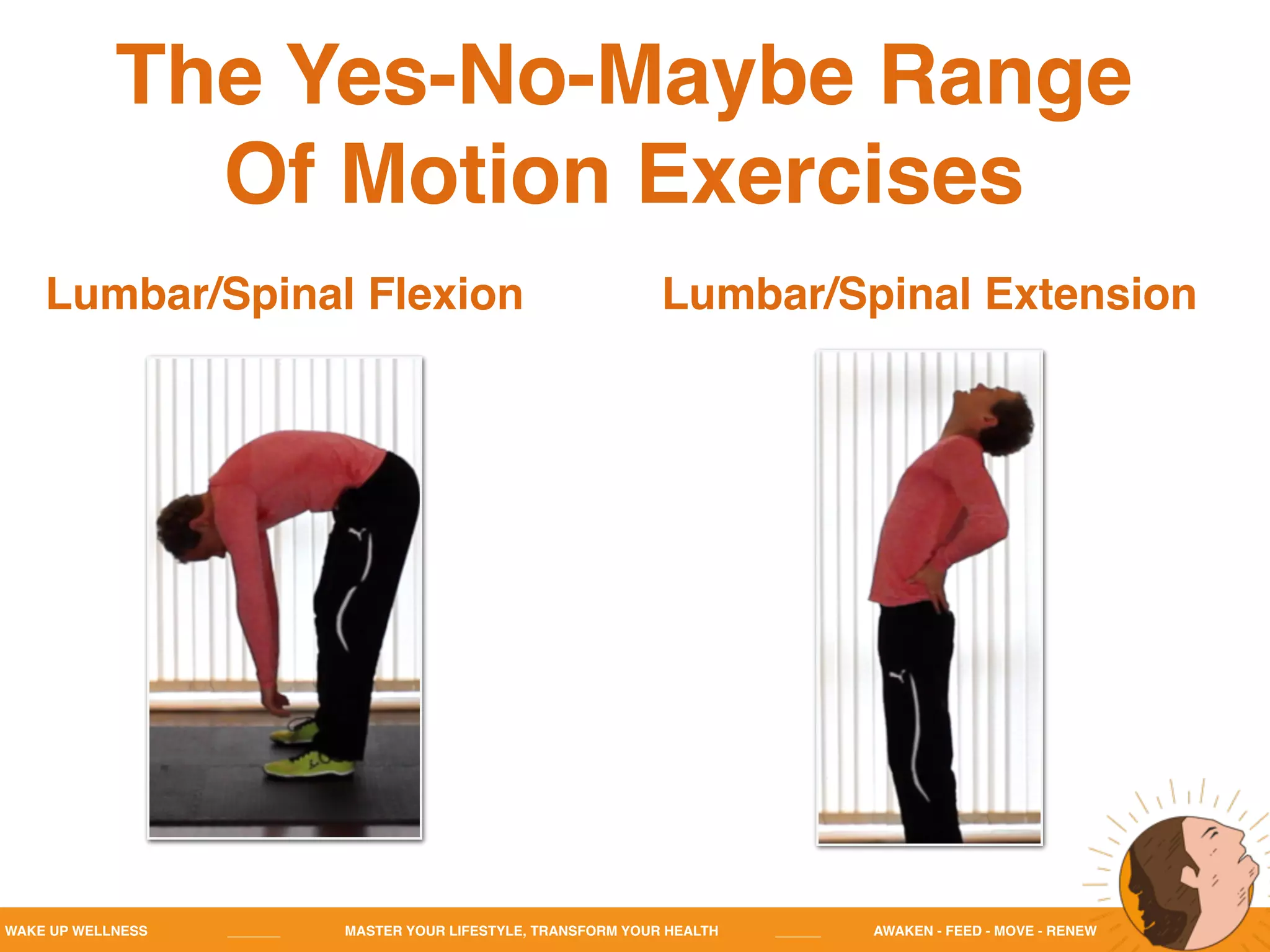 Spinal Hygiene Exercises | PDF